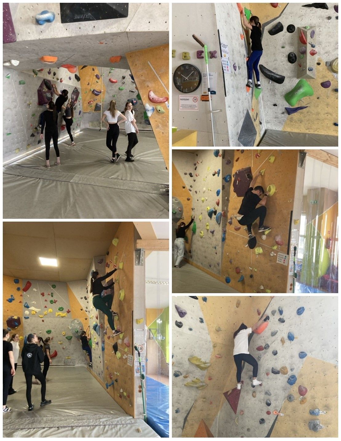 13.H osztály az Ibex Sport Falmászóteremben | Hírek | Győri SZC Krúdy ...